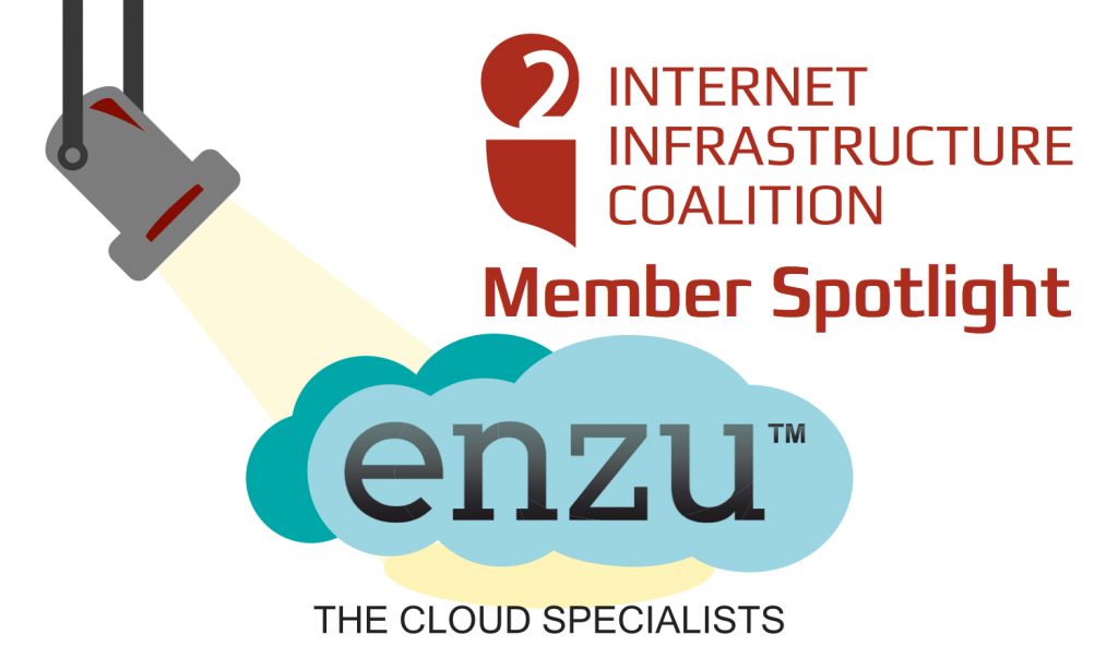 Member Spotlight: Enzu - i2Coalition