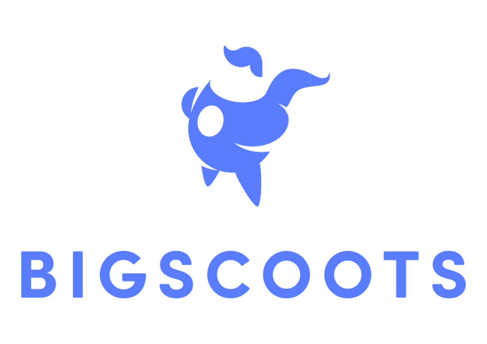 i2Coalition Member Spotlight: BigScoots - i2Coalition